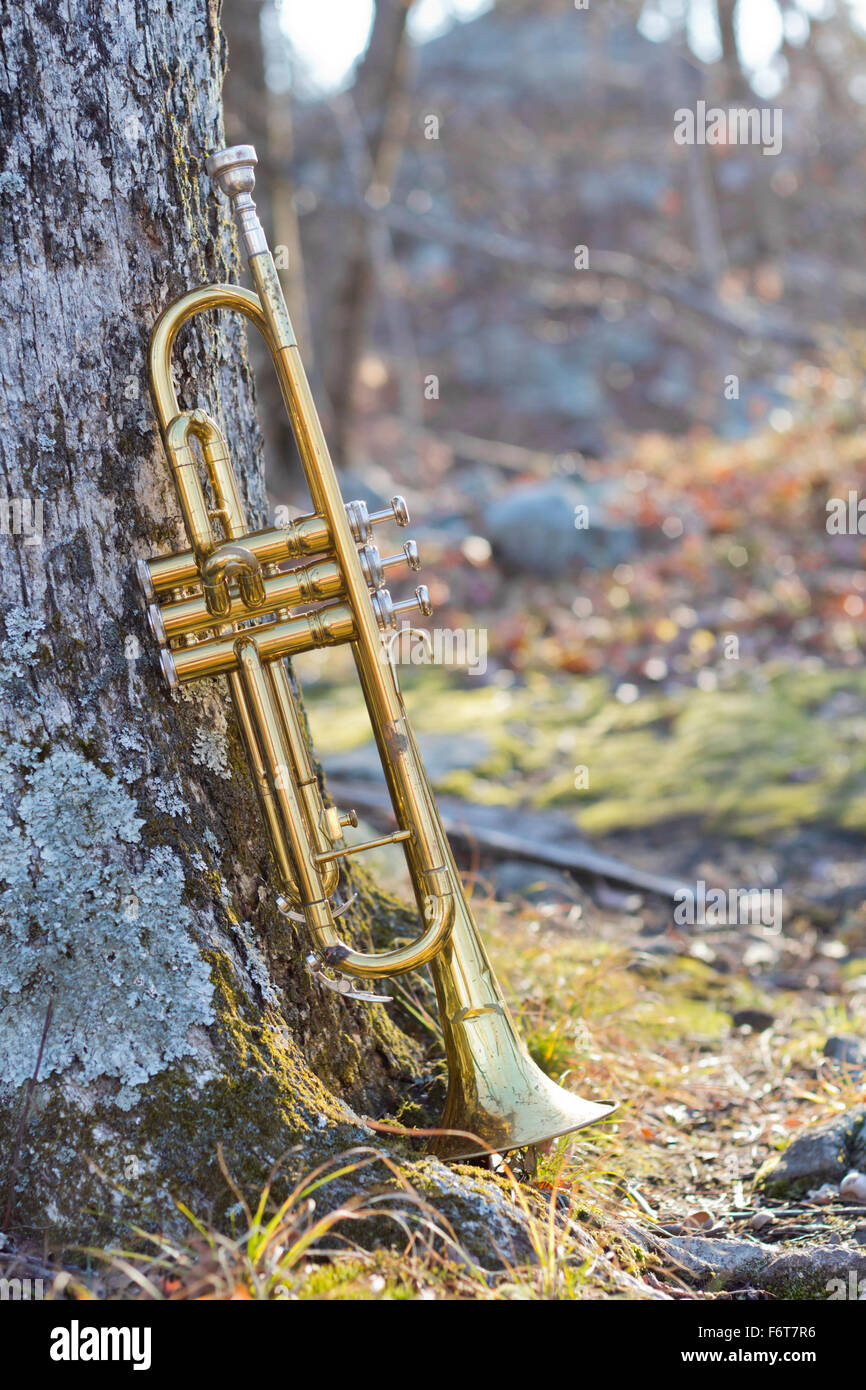 Old worn trumpet out in the wilderness on trail fall Stock Photo - Alamy