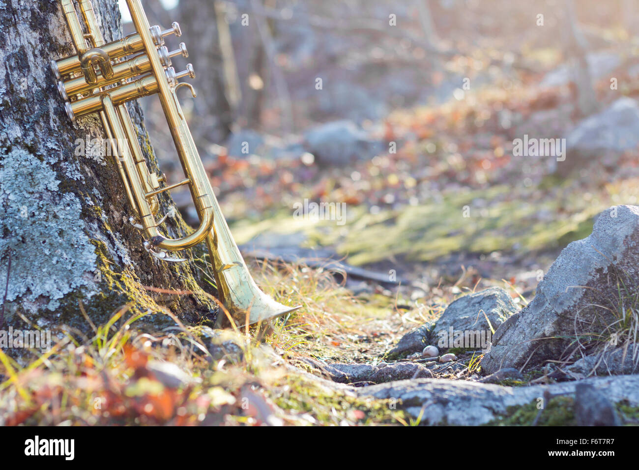 Old worn trumpet out in the wilderness on trail fall Stock Photo - Alamy