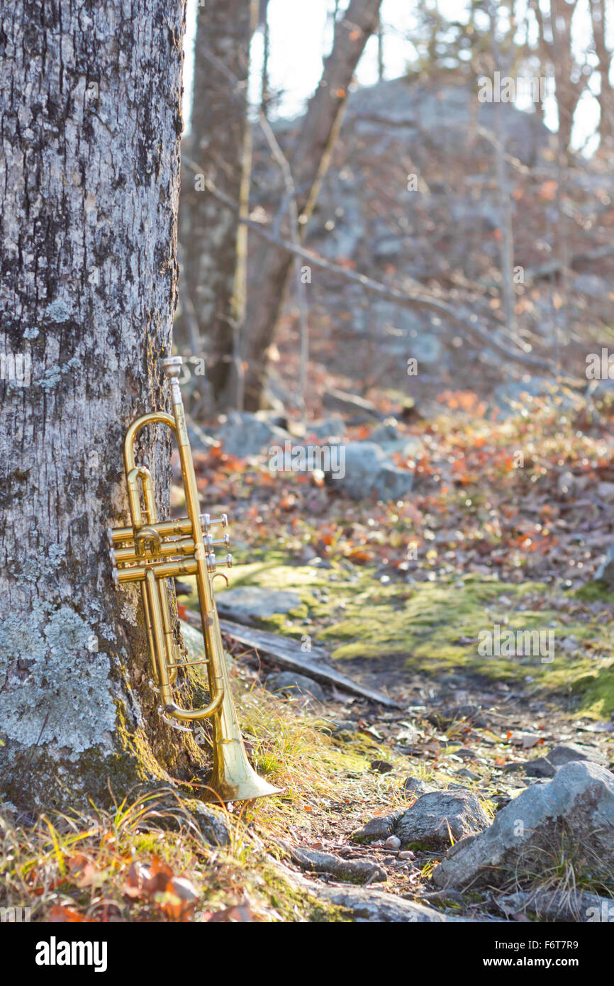 Old worn trumpet out in the wilderness on trail fall Stock Photo - Alamy
