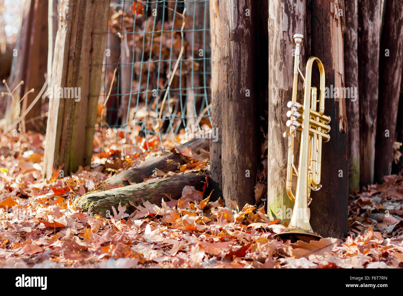 Old worn trumpet out in the wilderness on fence autumn Stock Photo - Alamy