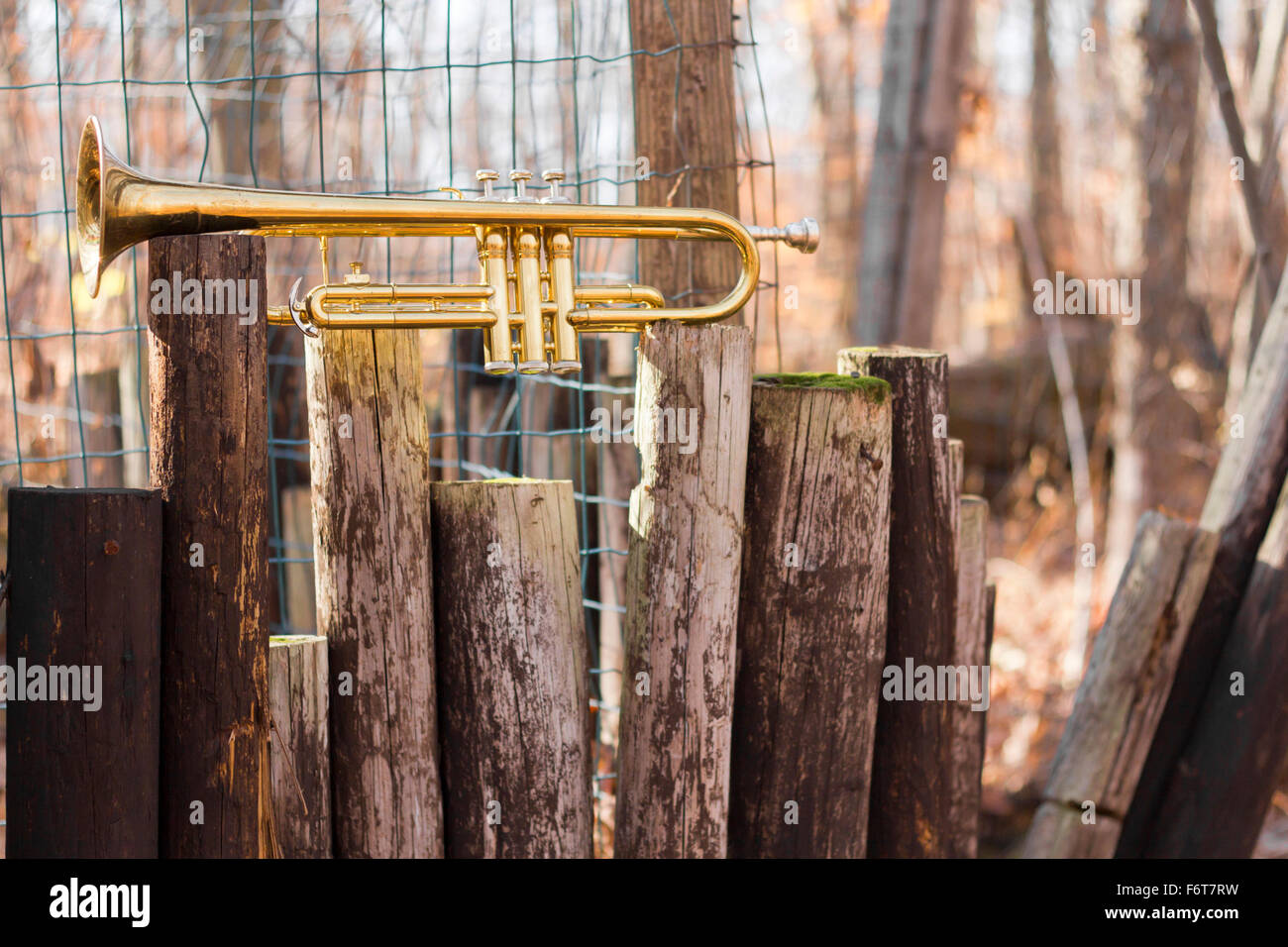 Old worn trumpet out in the wilderness on fence autumn Stock Photo - Alamy