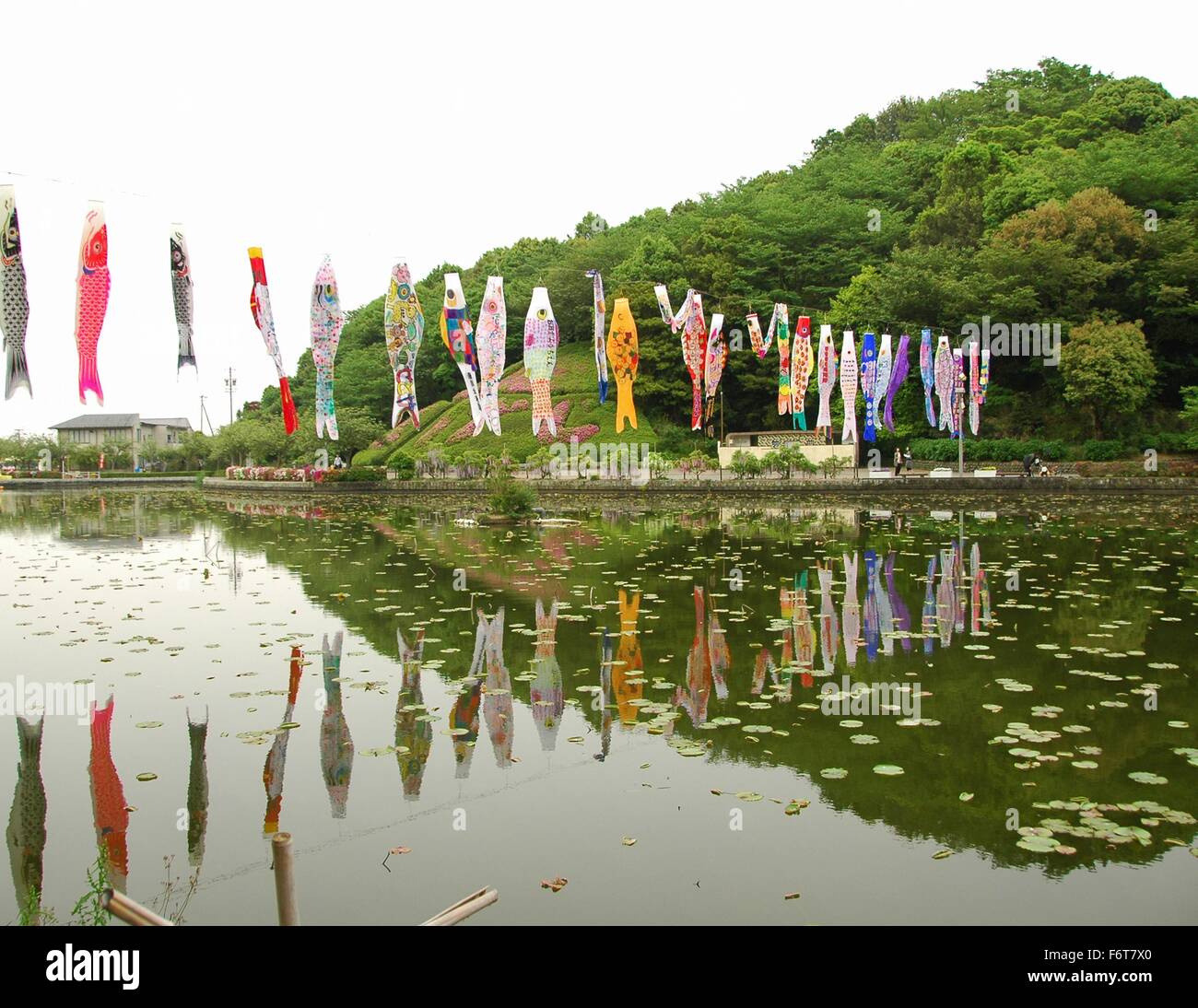Beautiful scenery in Rengeji-lke Park, Fujieda, Japan Stock Photo - Alamy