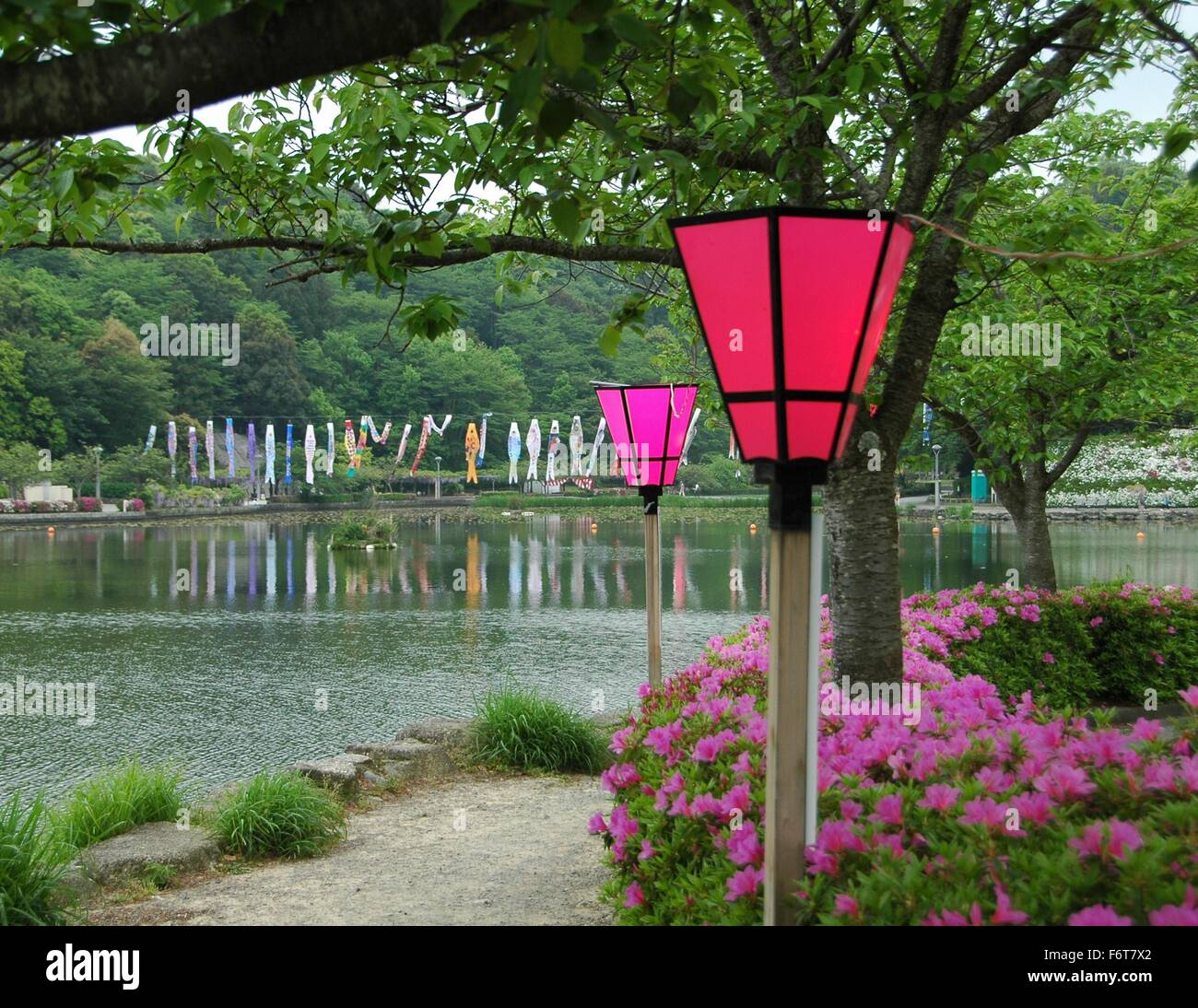Beautiful scenery in Rengeji-lke Park, Fujieda, Japan Stock Photo - Alamy