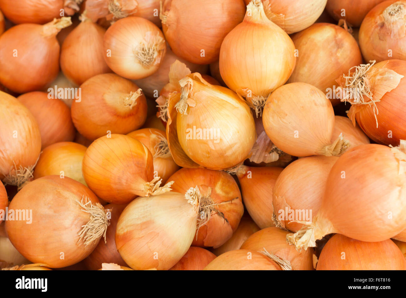 Pile of organic yellow onions at local farmers market Stock Photo - Alamy