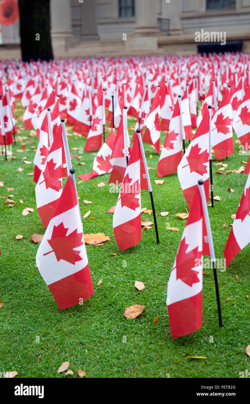 Display of small Canadian flags for Remembrance Day 2015 outside ...
