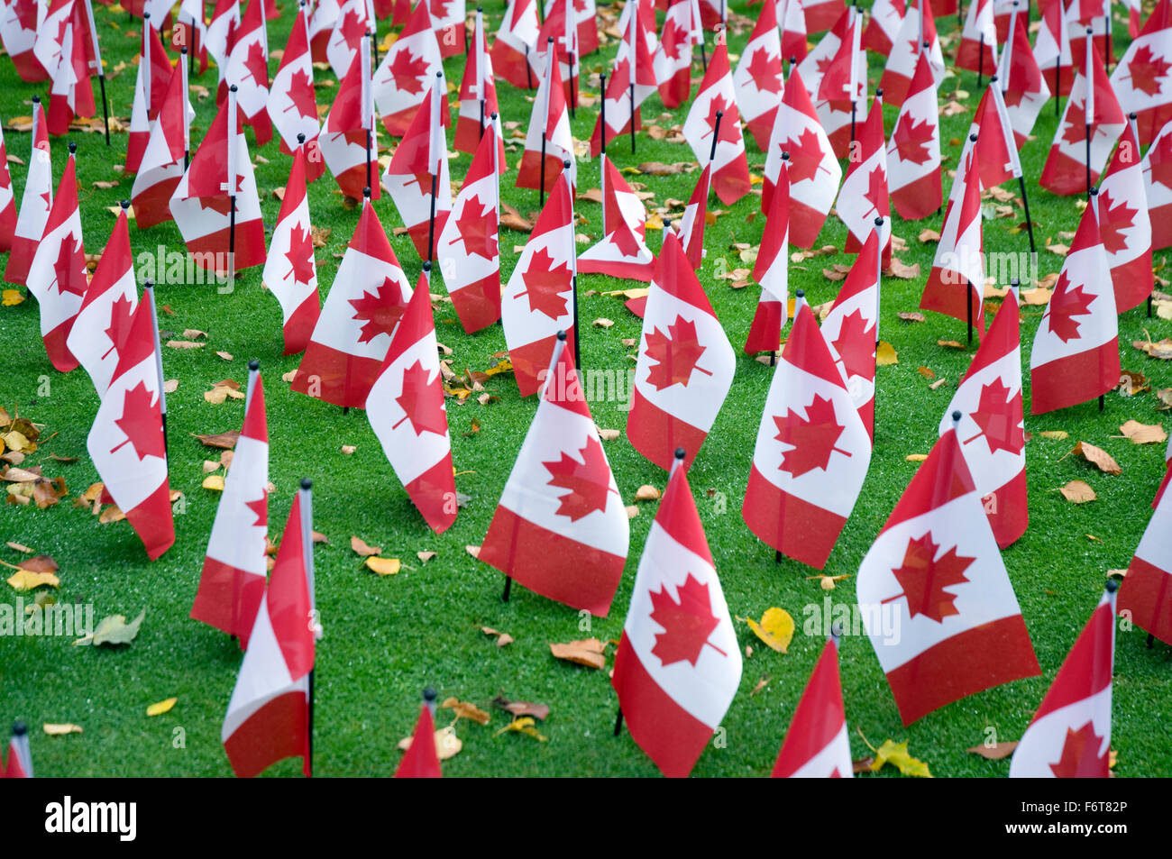 Canada remembrance day hi-res stock photography and images - Alamy