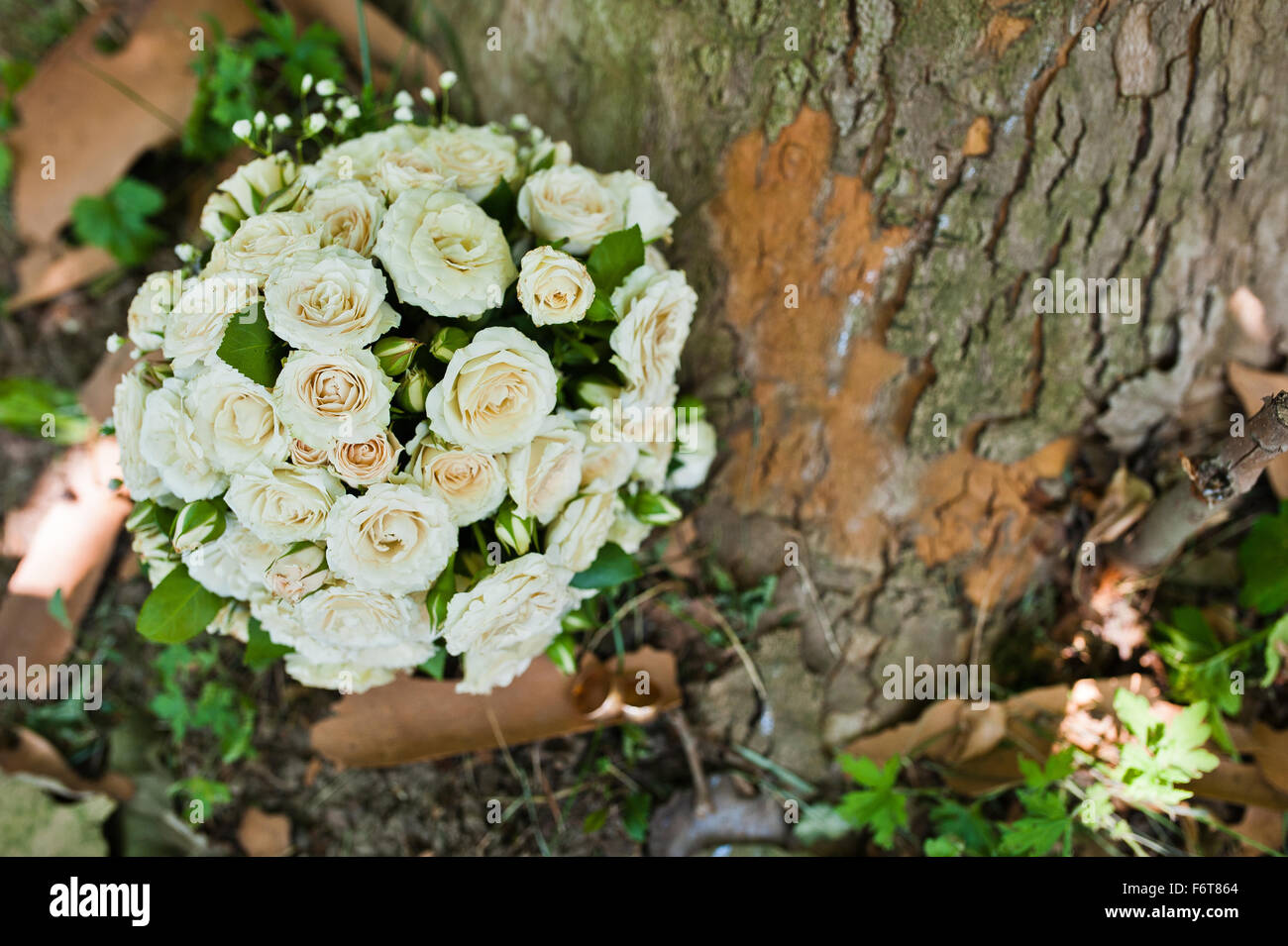 wedding bouquet background of tree bark Stock Photo - Alamy