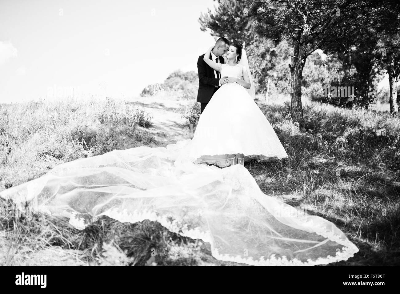 wedding couple on panorama of city and river. bride with long veil ...