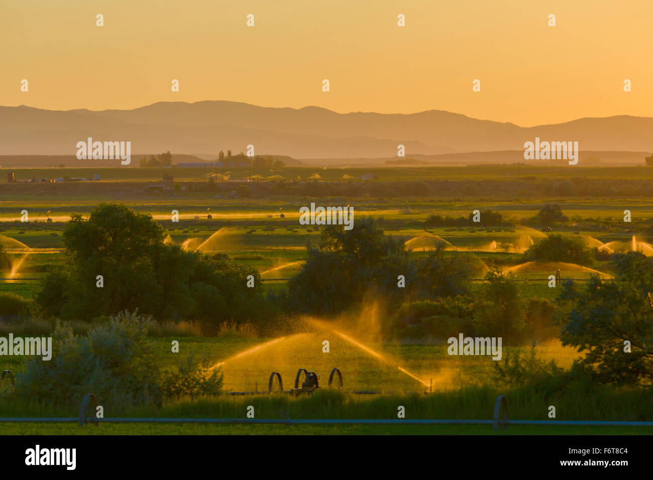 Sprinklers watering rural farmland Stock Photo - Alamy