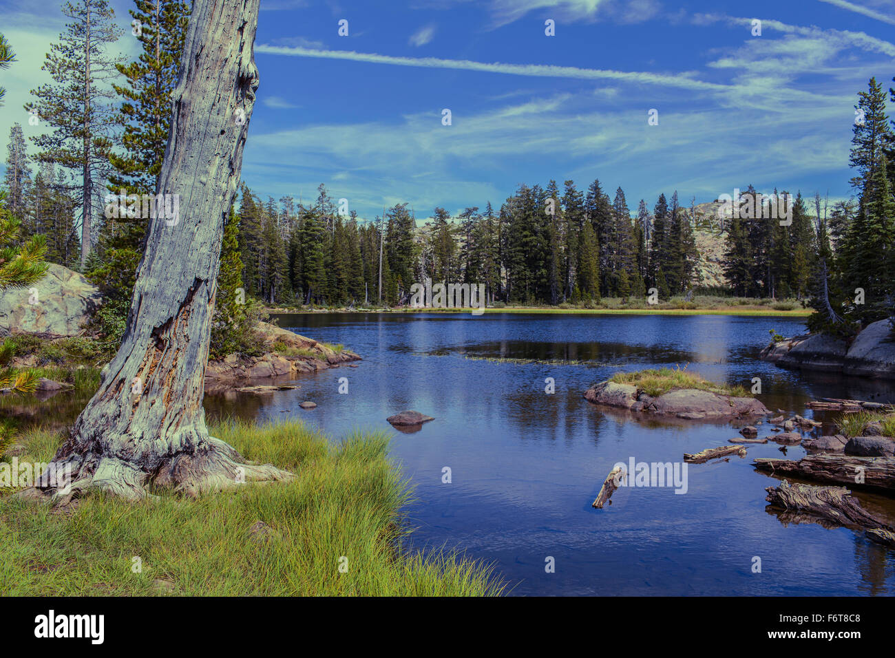Forest over remote lake Stock Photo - Alamy