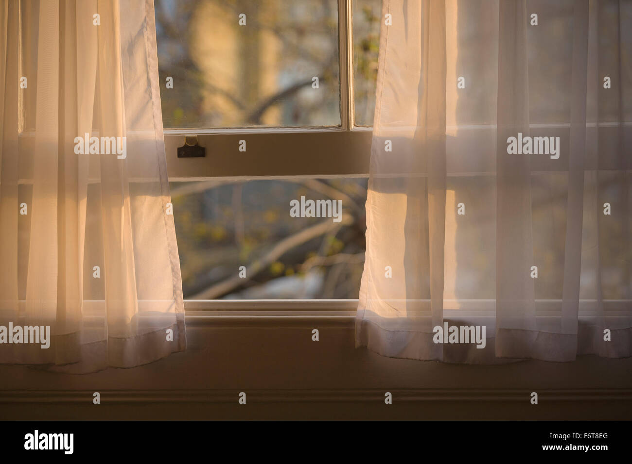 Sheer curtains in open window Stock Photo - Alamy