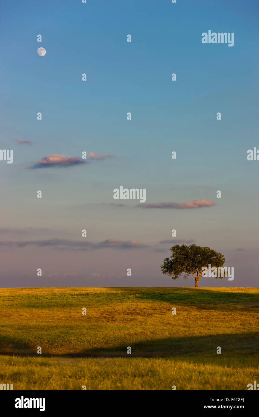 Moon over rolling rural farmland Stock Photo - Alamy