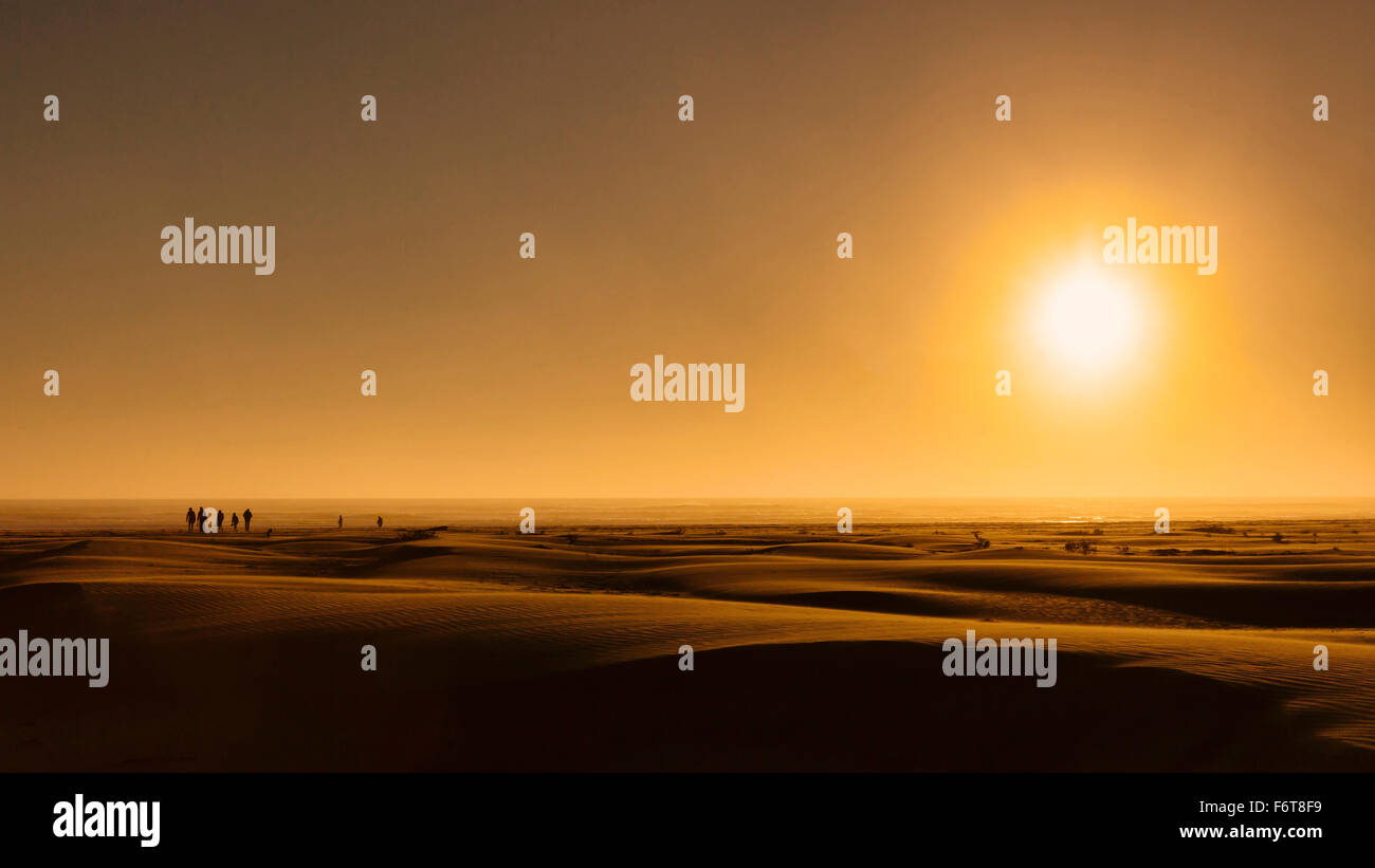 Sunrise over beach sand dunes Stock Photo - Alamy