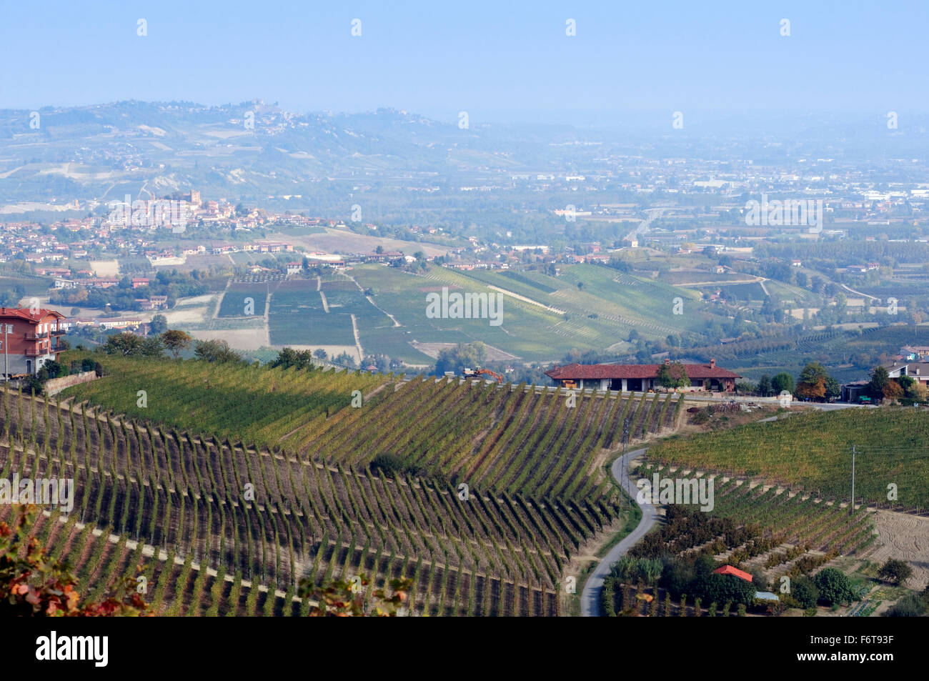 Barolo area hi-res stock photography and images - Alamy
