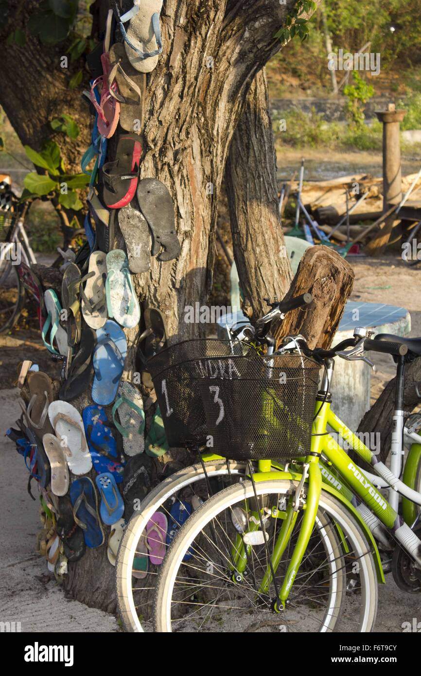 Flip Flops hung on a tree in Gili Islands, Indonesia Stock Photo - Alamy