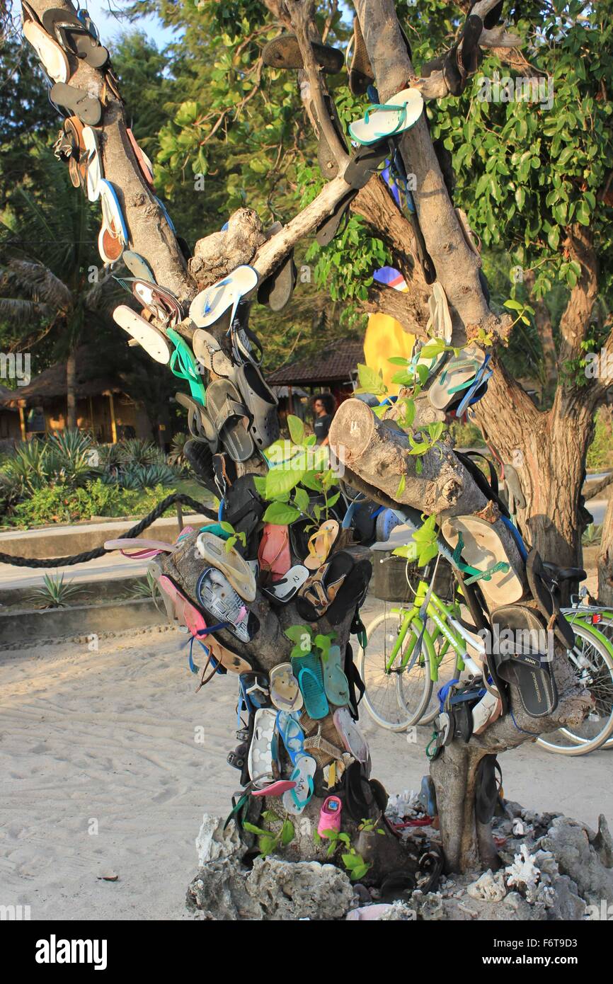Flip Flops hung on a tree in Gili Islands, Indonesia Stock Photo - Alamy