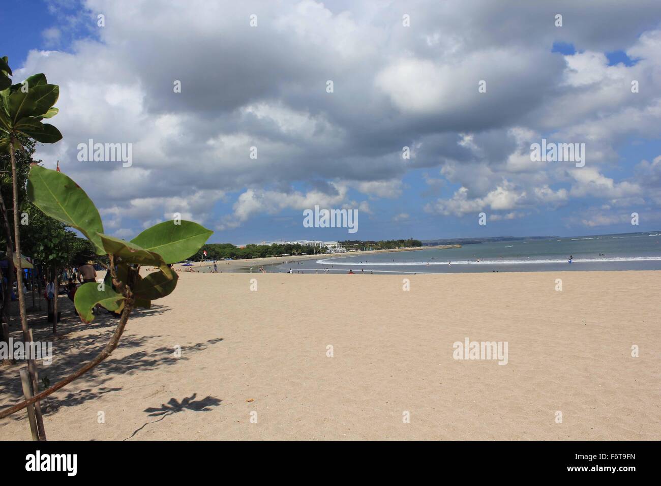 Overview plant hi-res stock photography and images - Alamy