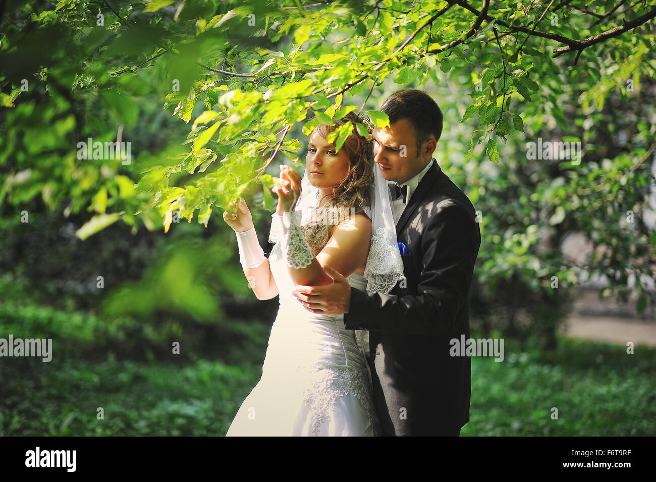 Young wedding couple under veil hi-res stock photography and images - Alamy
