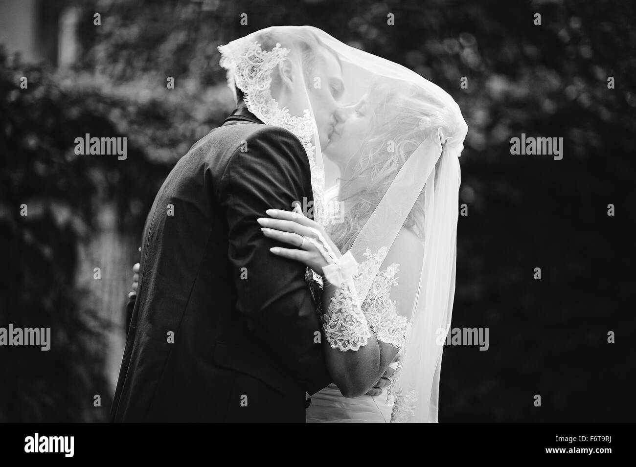 Young wedding couple under veil hi-res stock photography and images - Alamy