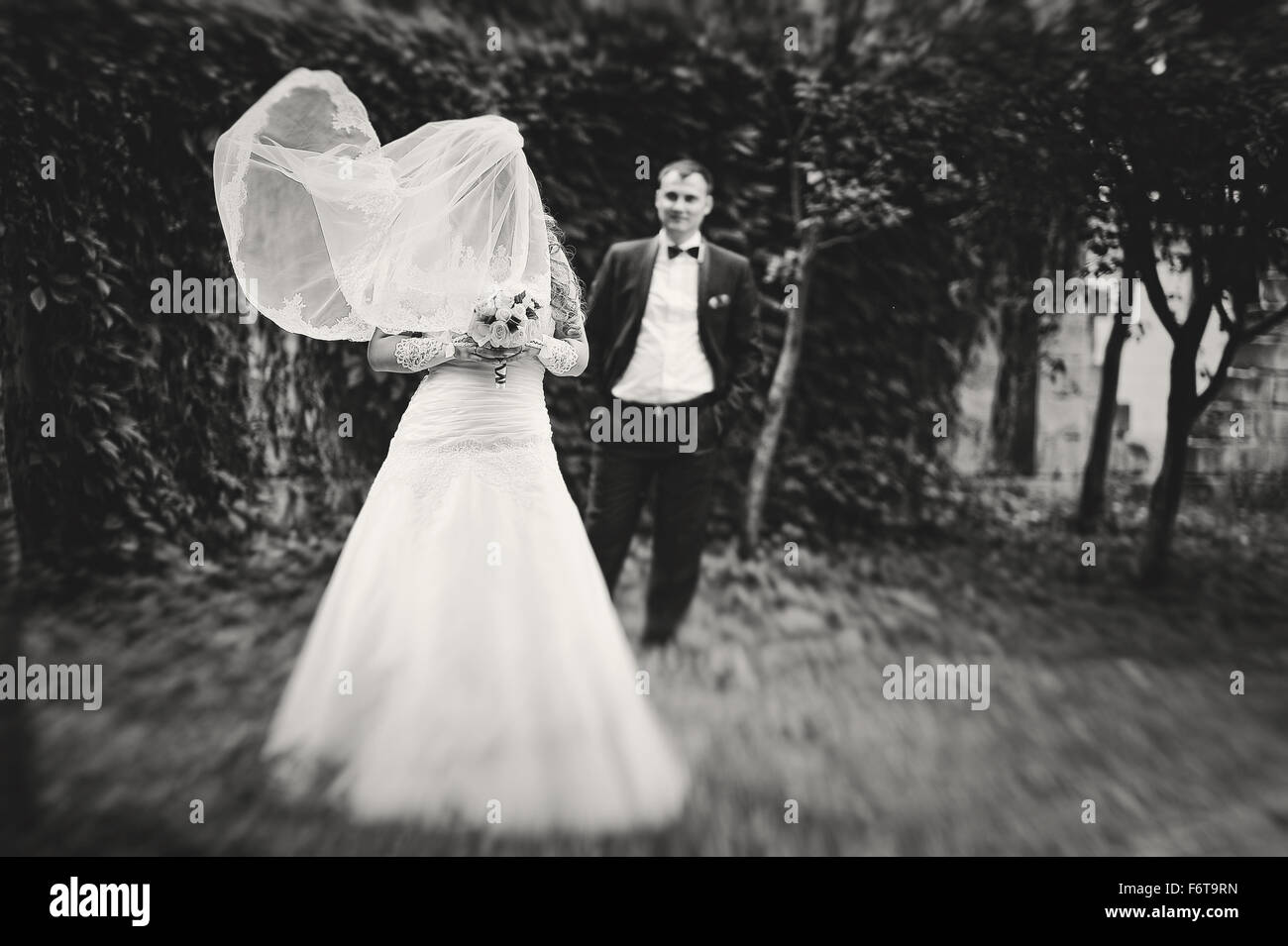 Wind play with veil of bride background groom Stock Photo - Alamy