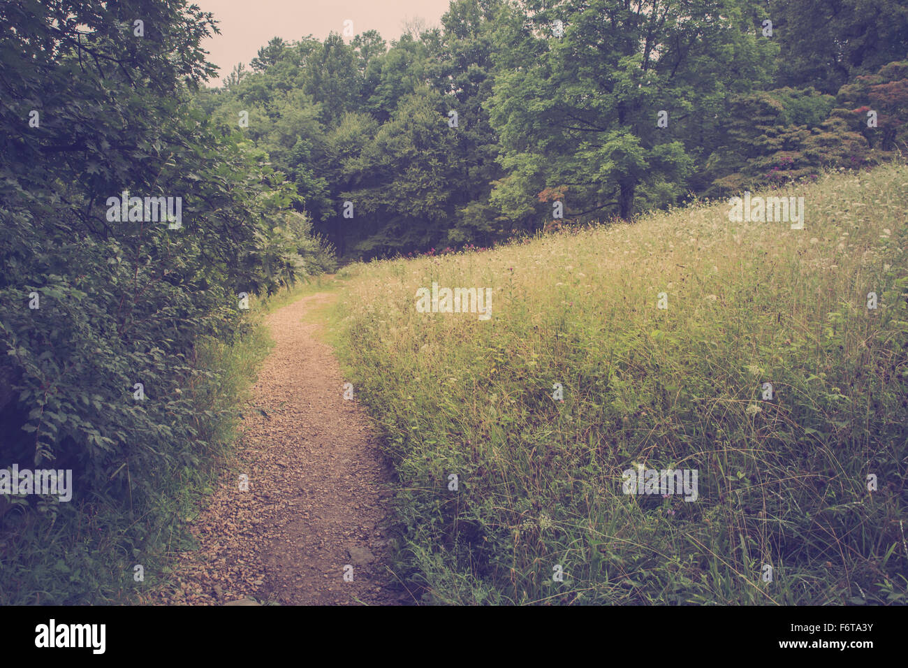 Vintage filter hi-res stock photography and images - Alamy