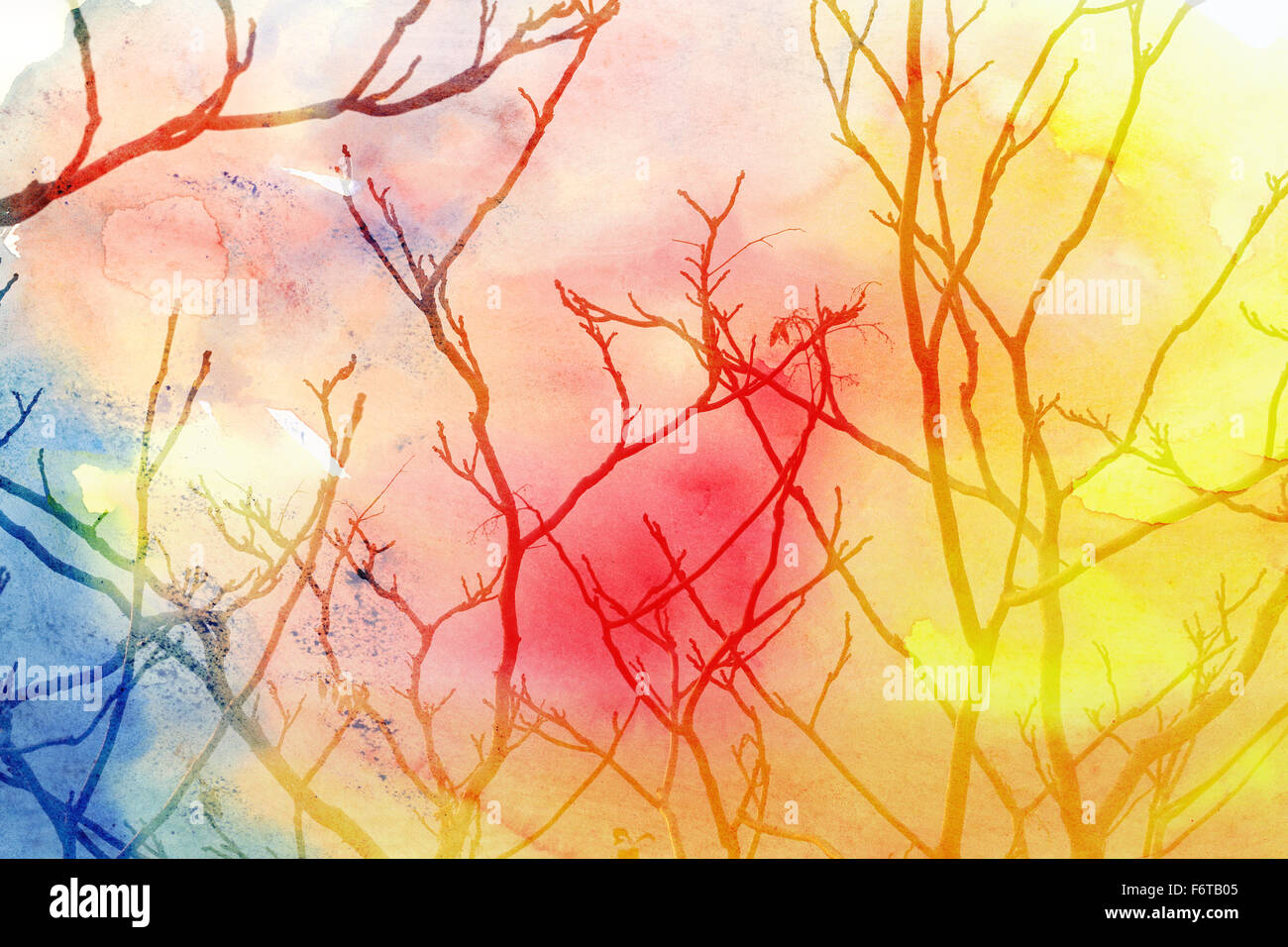 miracle tree branches of a tree on a colorful background Stock Photo ...