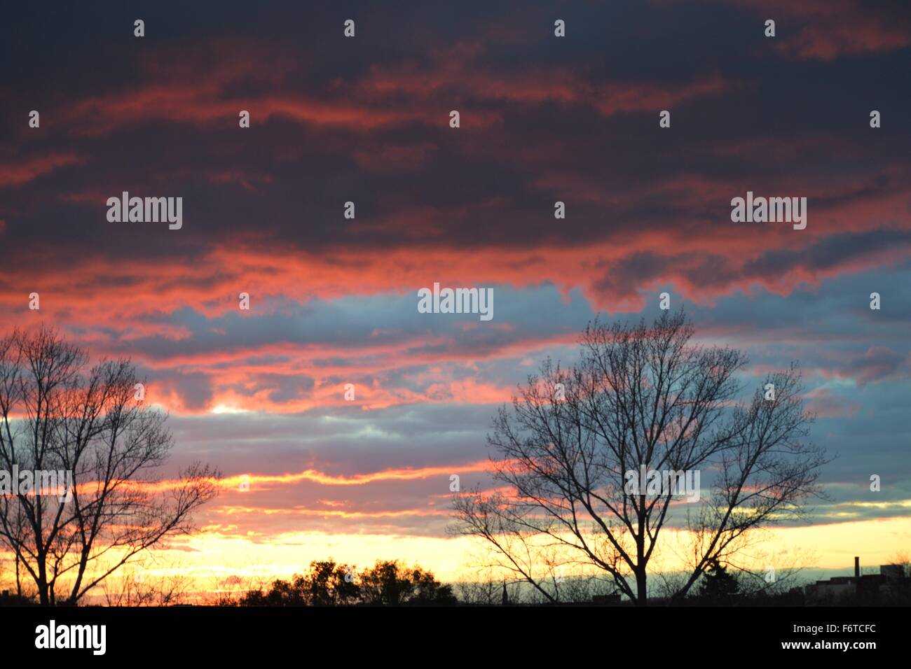 Sunset trees fall hi-res stock photography and images - Alamy