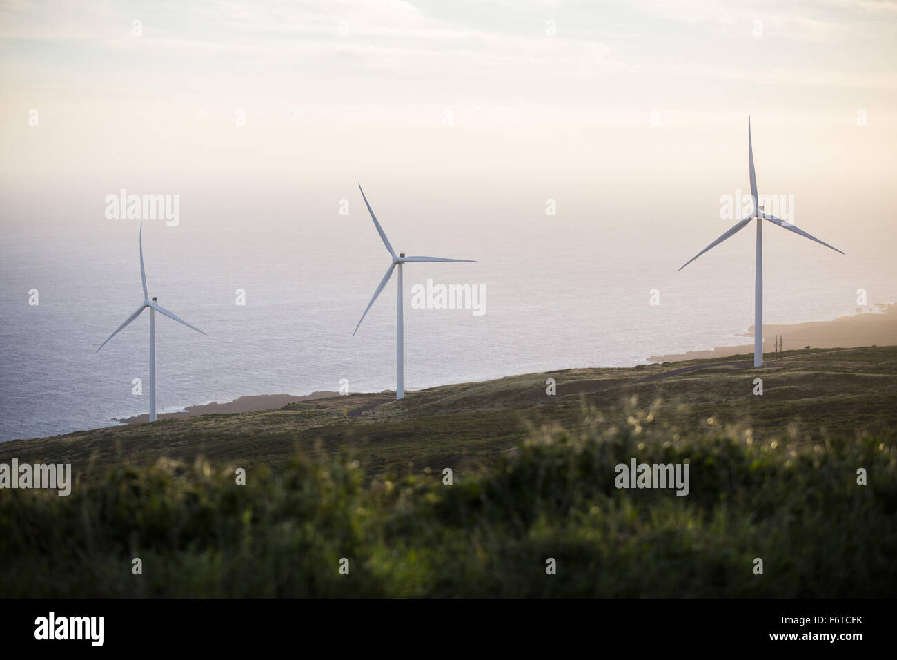 Ulupalakua Ranch, Hawaii, USA. 3rd Nov, 2015. The Auwahi Wind Turbines ...