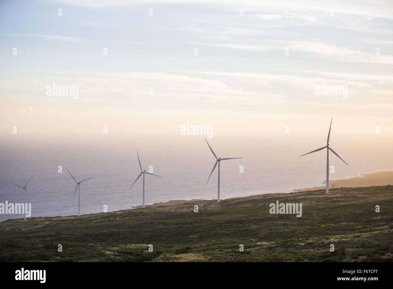 Ulupalakua Ranch, Hawaii, USA. 3rd Nov, 2015. The Auwahi Wind Turbines ...