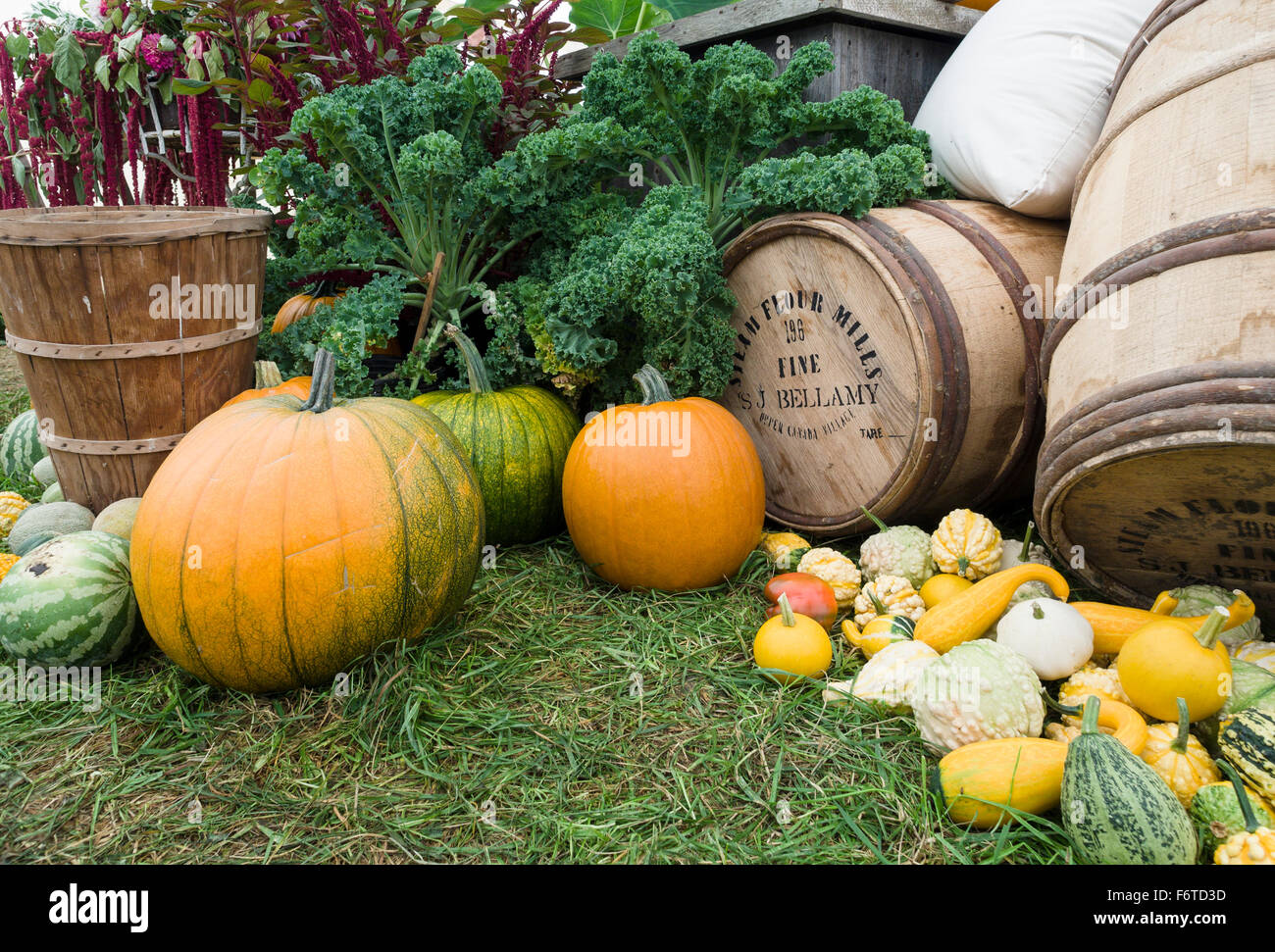 A display of Farm Produce at an old time fair. Pumpkins, squash and ...
