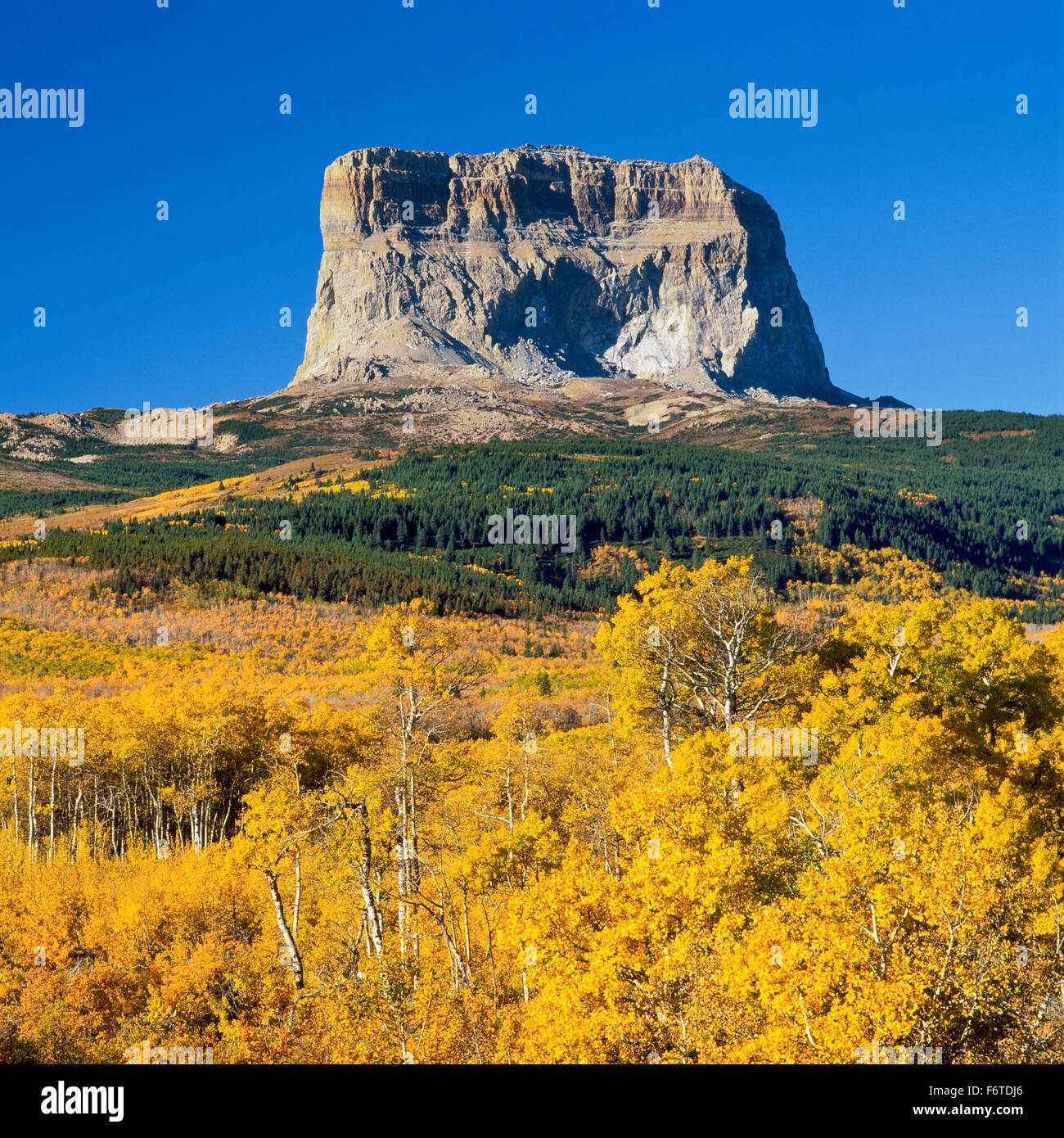 fall colors below chief mountain along the northeastern border of ...