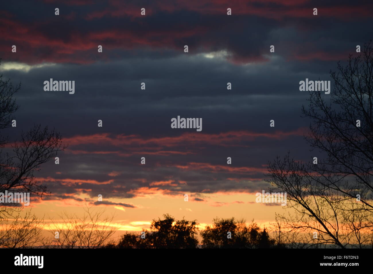 Over the treetops hi-res stock photography and images - Alamy
