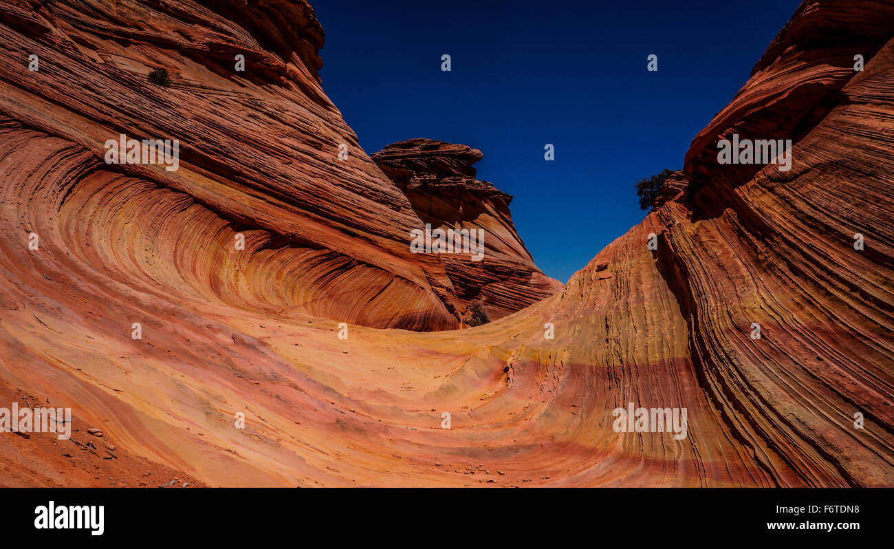 Colorful stone wave in South Coyote Buttes, Arizona/Utah, USA Stock ...