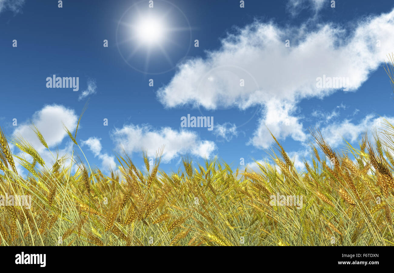 3d render field hi-res stock photography and images - Alamy