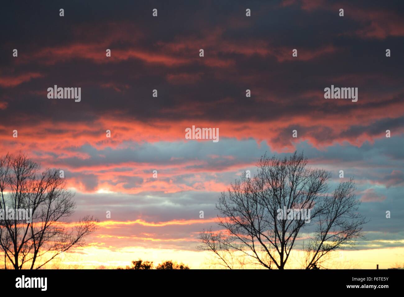 Sunset in the park Stock Photo - Alamy