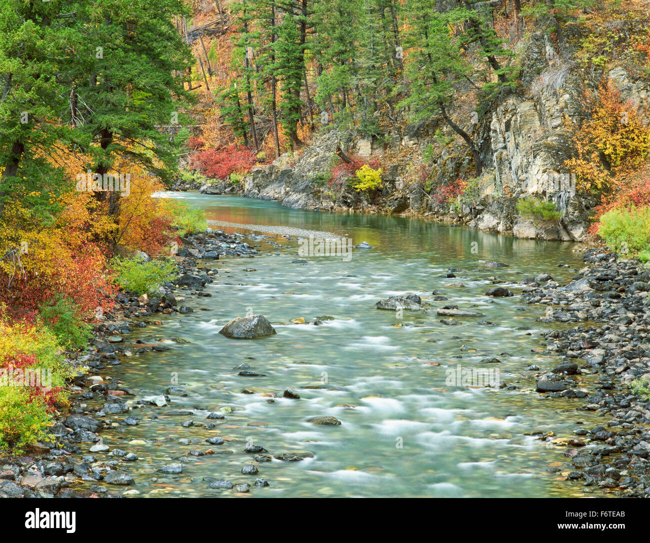 fall colors along the north fork blackfoot river near ovando, montana ...