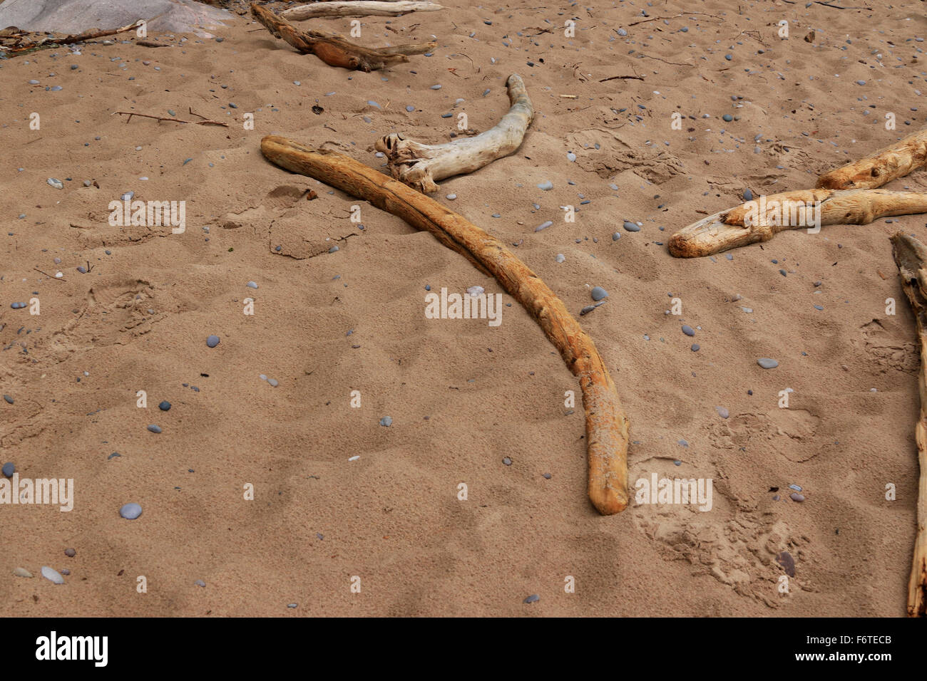 Tree logs on the beach of Grand island in Michigan's upper peninsula ...