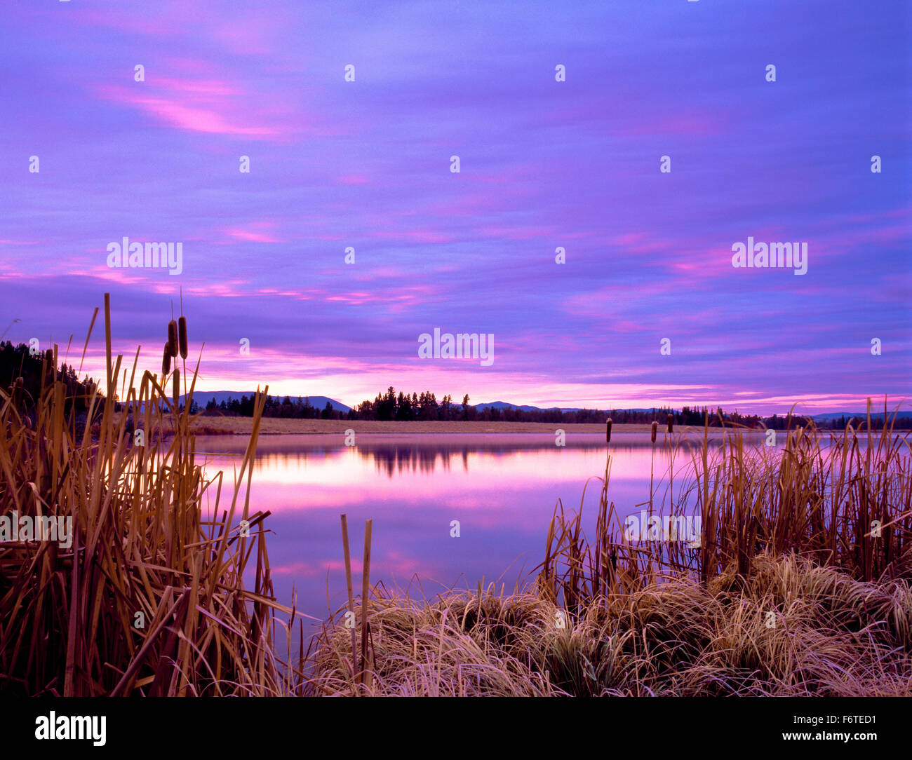 sunrise over wetland in blackfoot river valley near ovando, montana ...