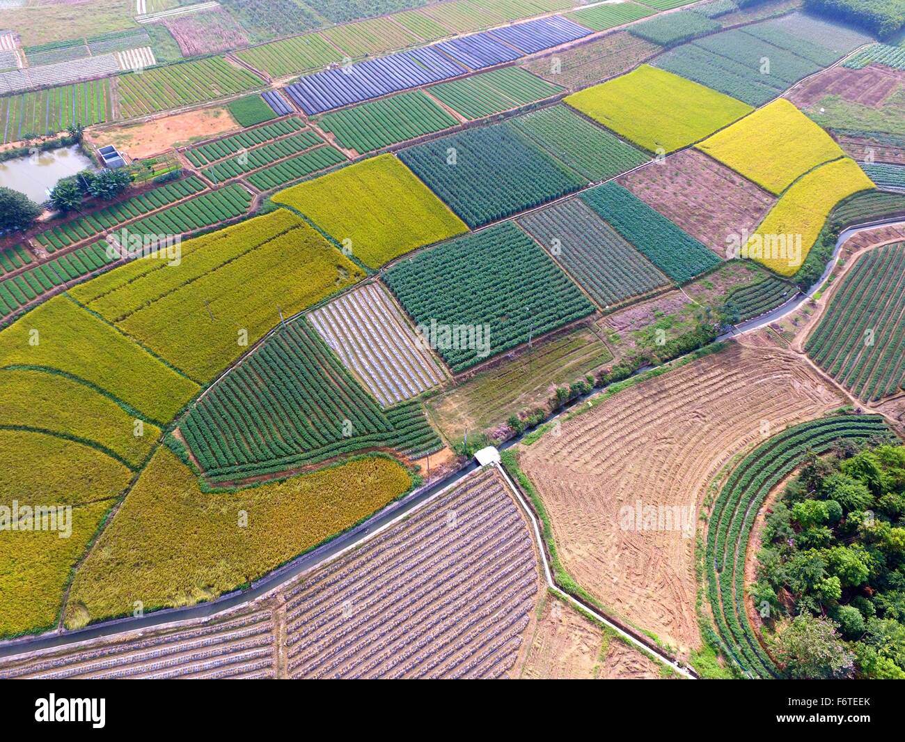 Baise. 19th Nov, 2015. Photo taken on Nov. 19, 2015 shows a bird's-eye ...