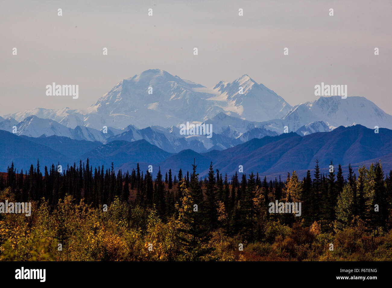 Fall foliage with mountain in background, Alaska Stock Photo - Alamy