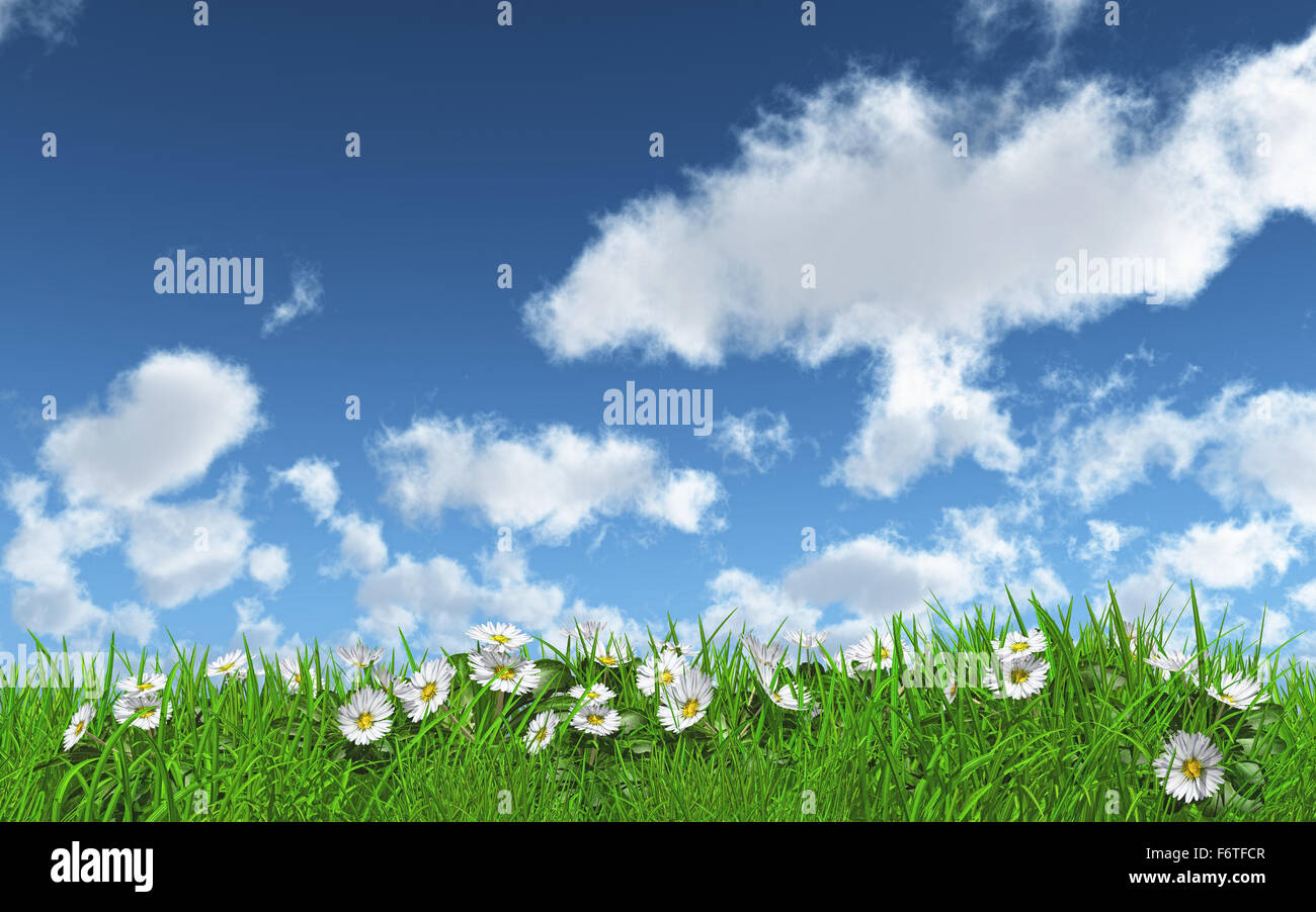 3d render field hi-res stock photography and images - Alamy