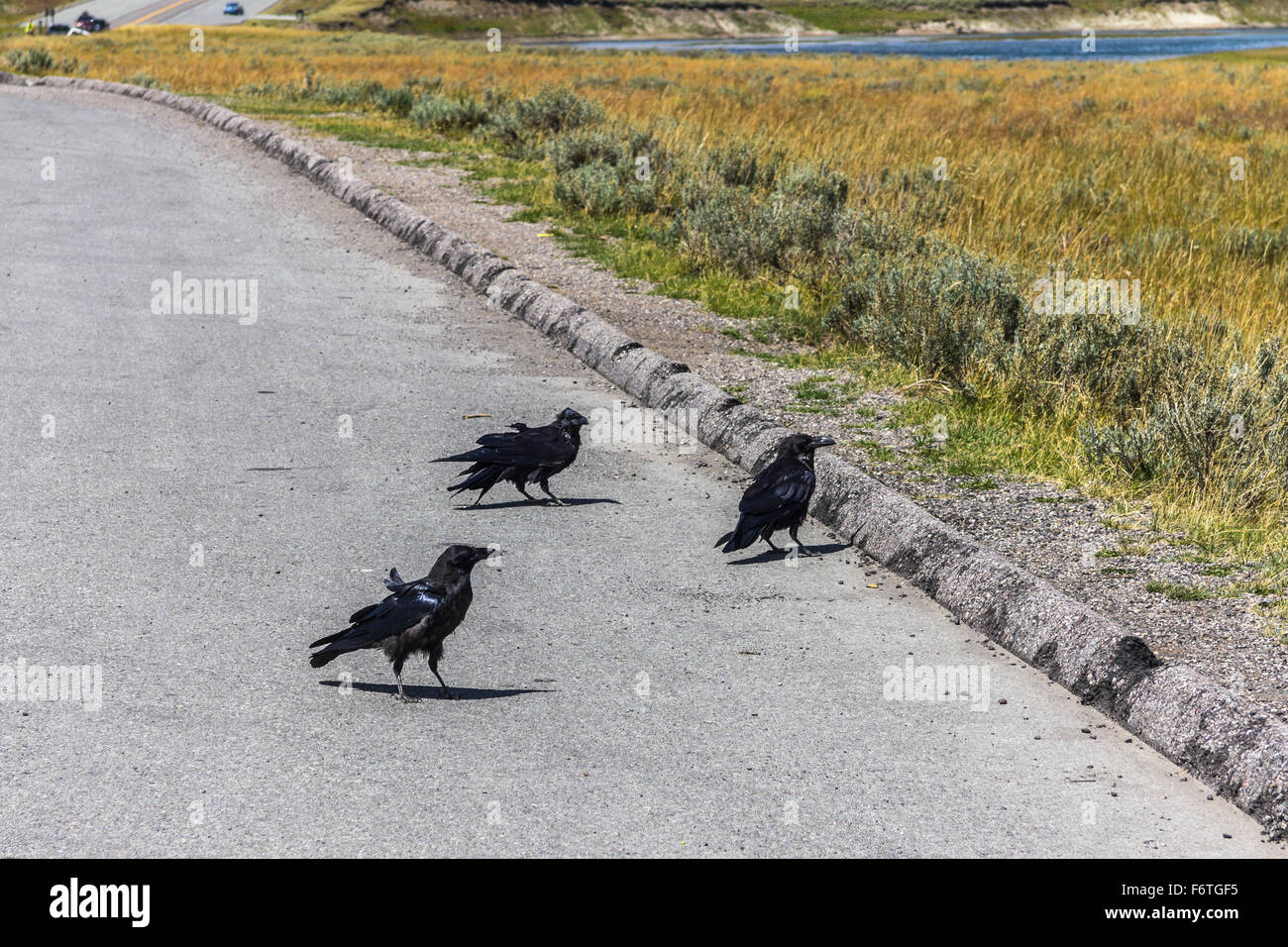 Old raven street hi-res stock photography and images - Alamy