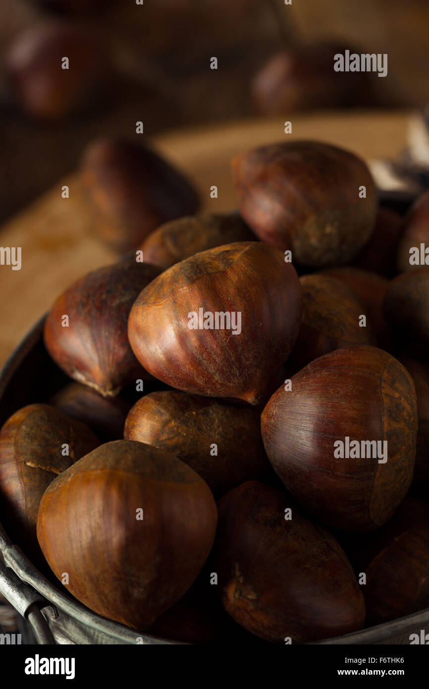 Raw Brown Organic Italian Chestnuts Ready to Roast Stock Photo - Alamy