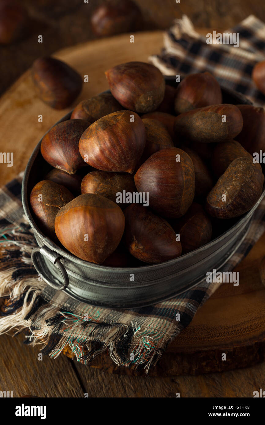 Raw Brown Organic Italian Chestnuts Ready to Roast Stock Photo - Alamy