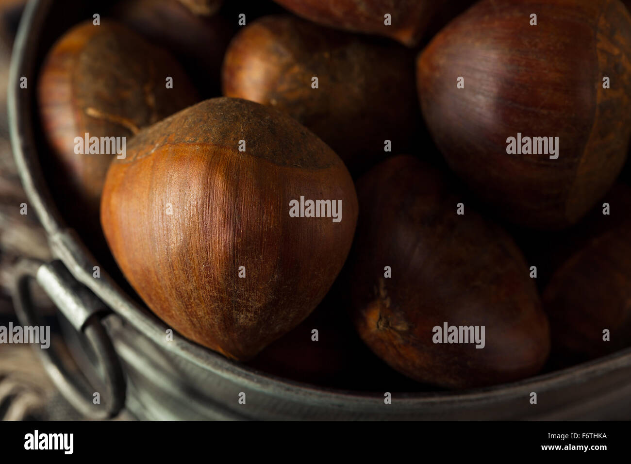 Raw Brown Organic Italian Chestnuts Ready to Roast Stock Photo - Alamy