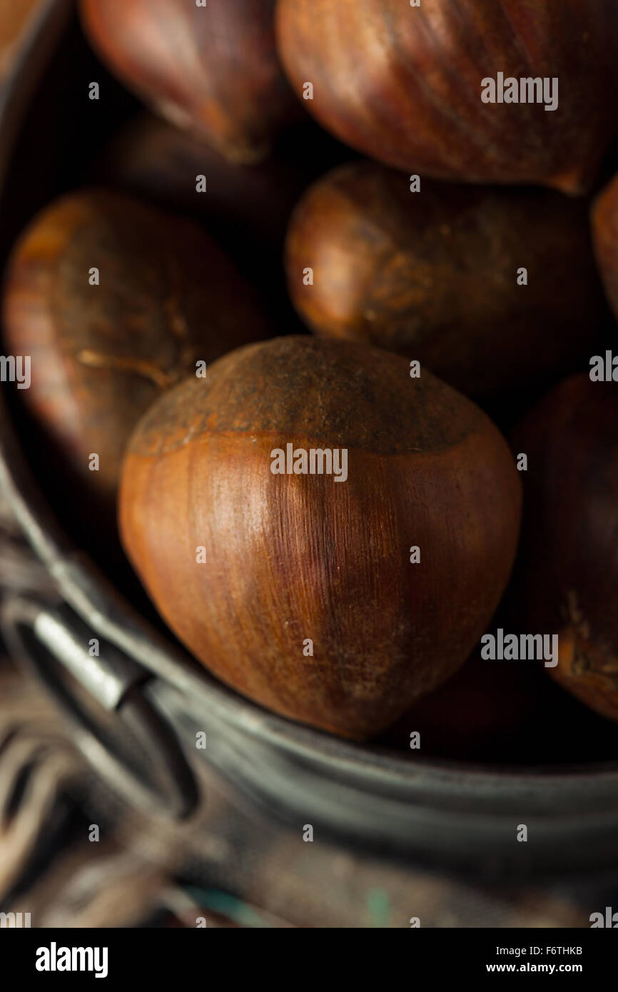 Raw Brown Organic Italian Chestnuts Ready to Roast Stock Photo - Alamy