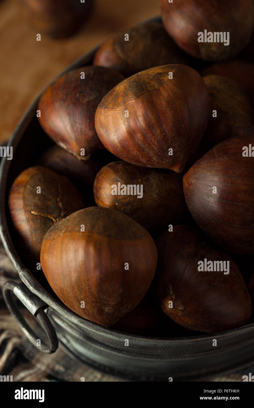 Raw Brown Organic Italian Chestnuts Ready to Roast Stock Photo - Alamy