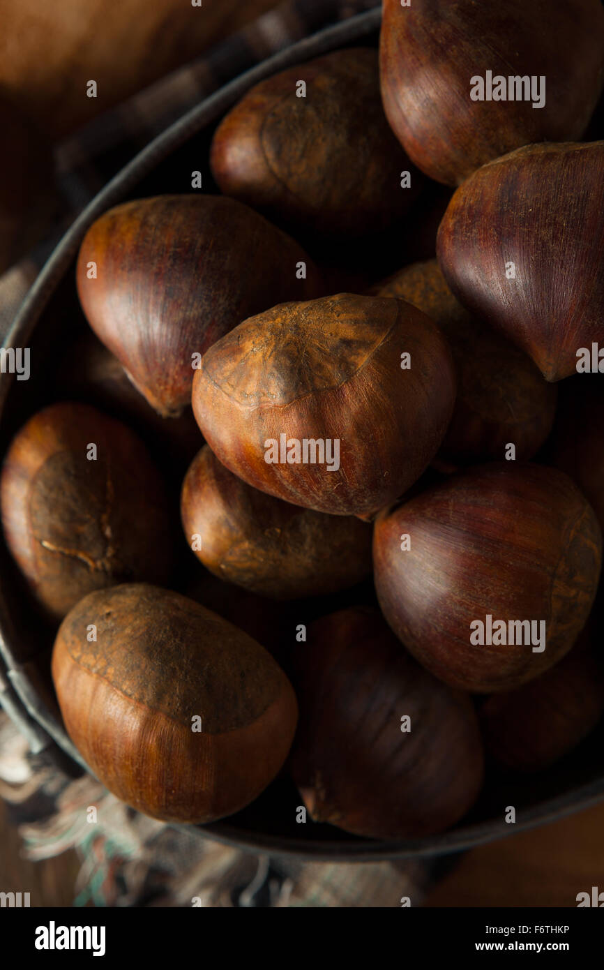 Raw Brown Organic Italian Chestnuts Ready to Roast Stock Photo - Alamy