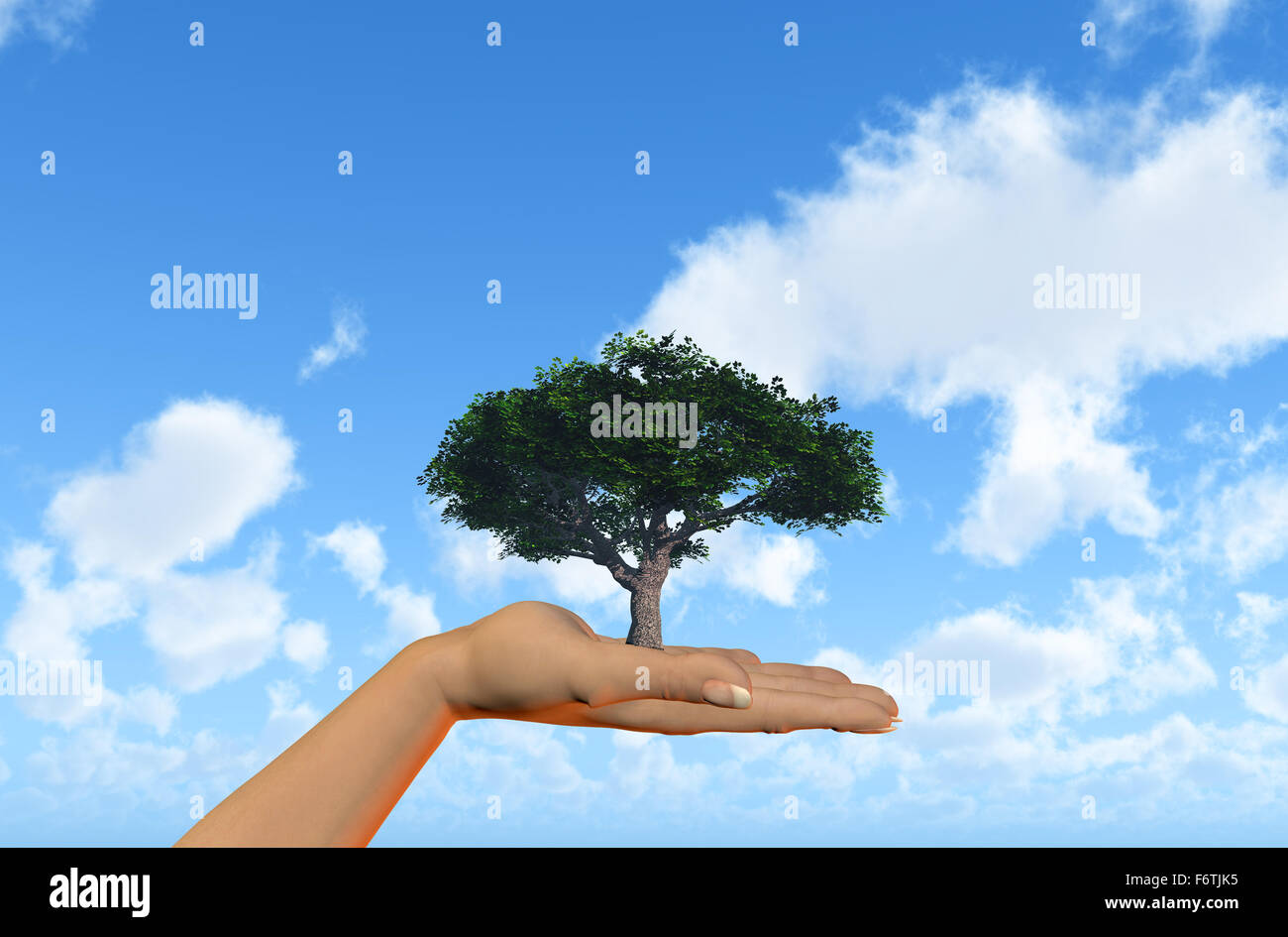 3D render of a female hand holding a tree against a blue sky with ...