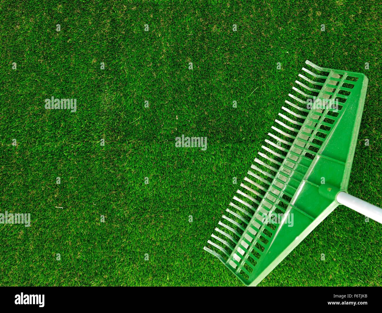 Sunlit garden artificial grass hi-res stock photography and images - Alamy